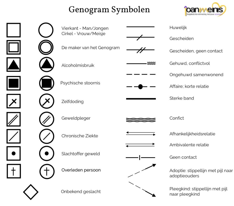 Genogram in systemisch werken: Ontdek familiepatronen en generationeel ...
